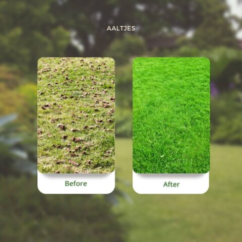 Aaltjes? Wat zijn het en waarom werken ze tegen engerlingen en emelten